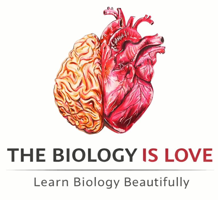 5' capping - BIOLOGY is LOVE